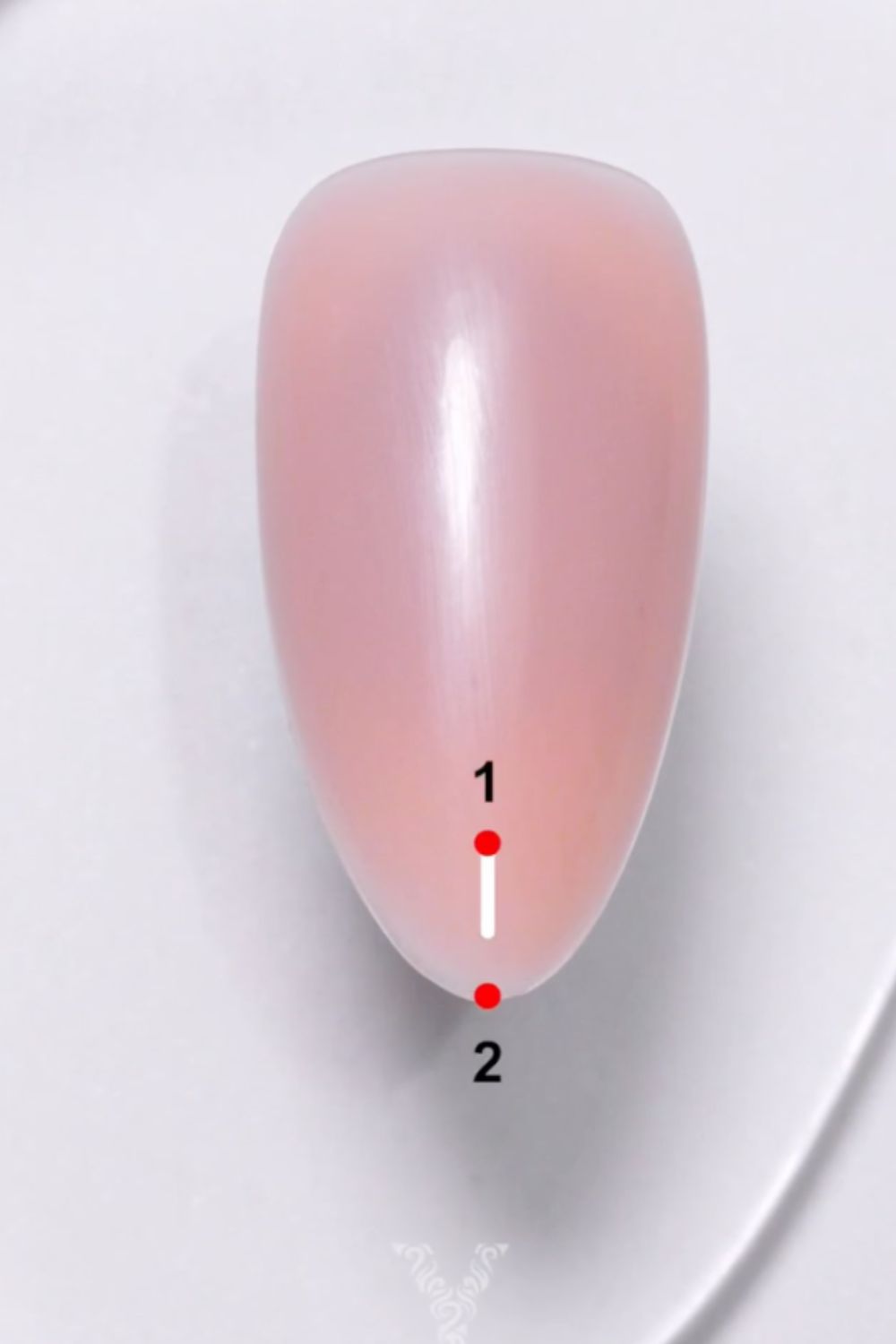 How to Draw French Tip Nails Step By Step for Beginners at Home